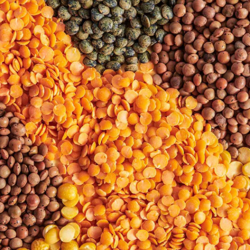 Pulses – The Peppery Cat Zero Waste Grocer